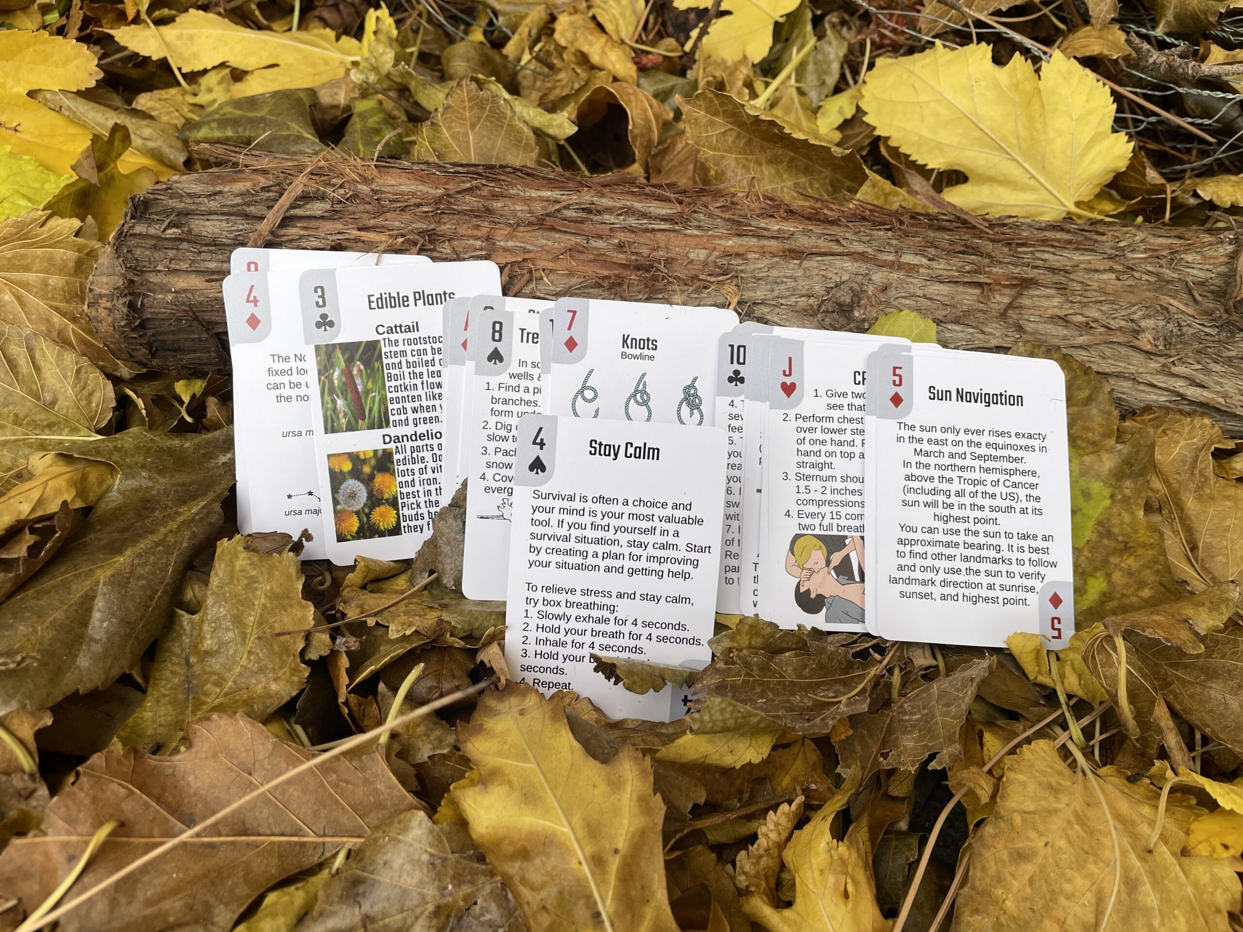 Life in a Pack Survival Playing Cards - River Country Products